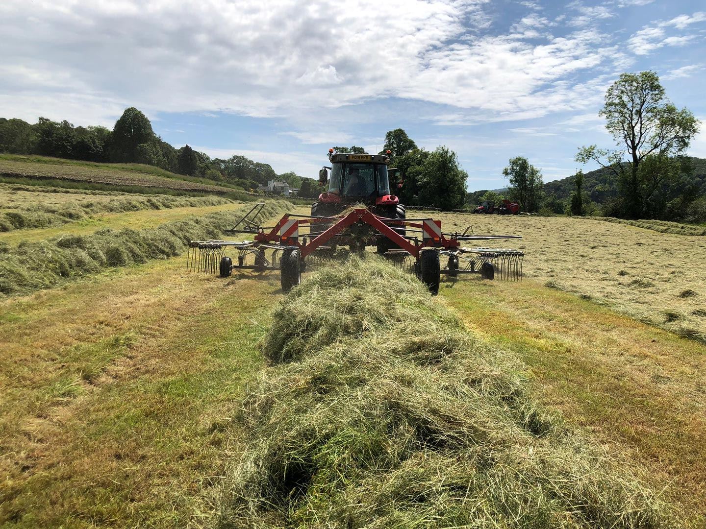 Massey Ferguson RK 662 twin rotor rake